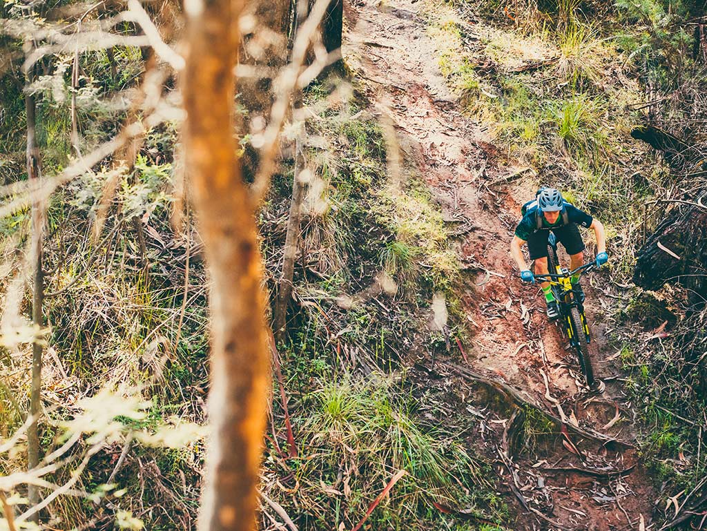 Mountain Biking in Mount Beauty, Victoria's High Country