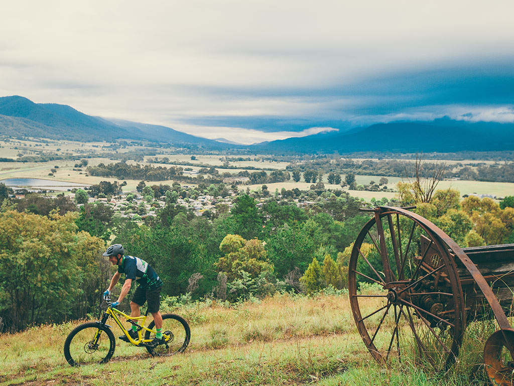Mountain Biking in Mount Beauty, Victoria's High Country
