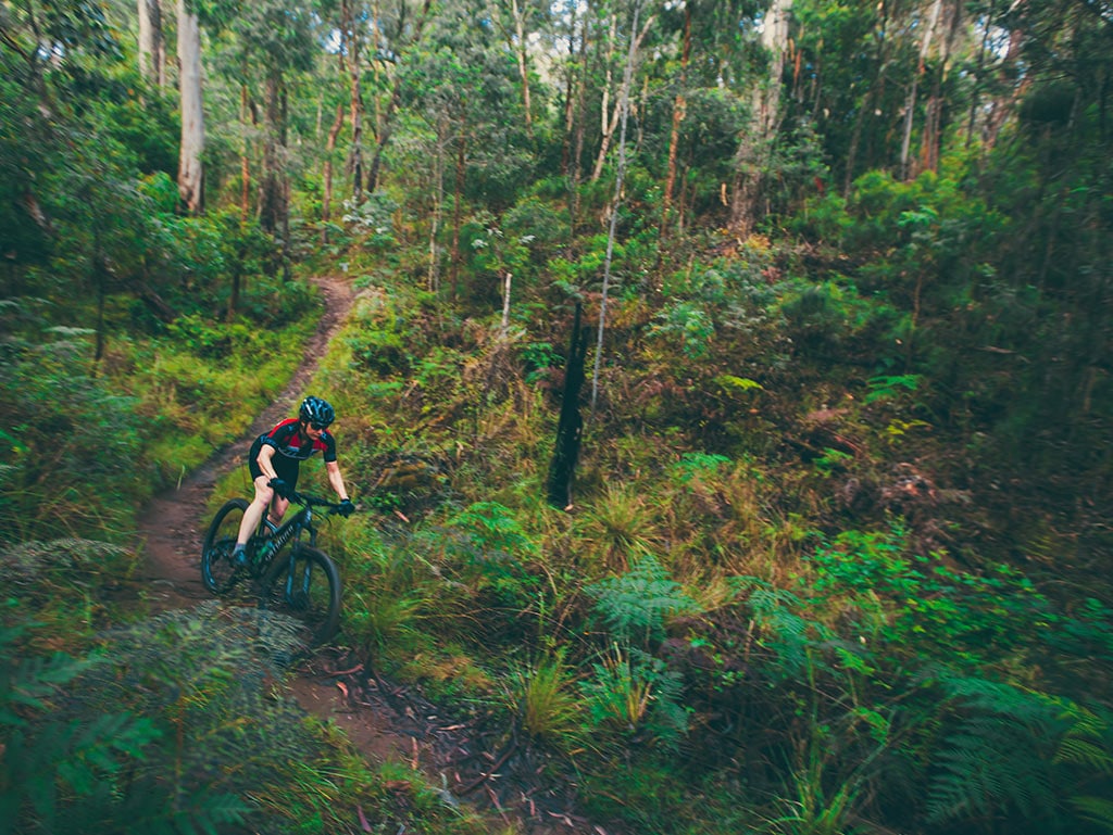Mountain Biking in Mount Beauty, Victoria's High Country