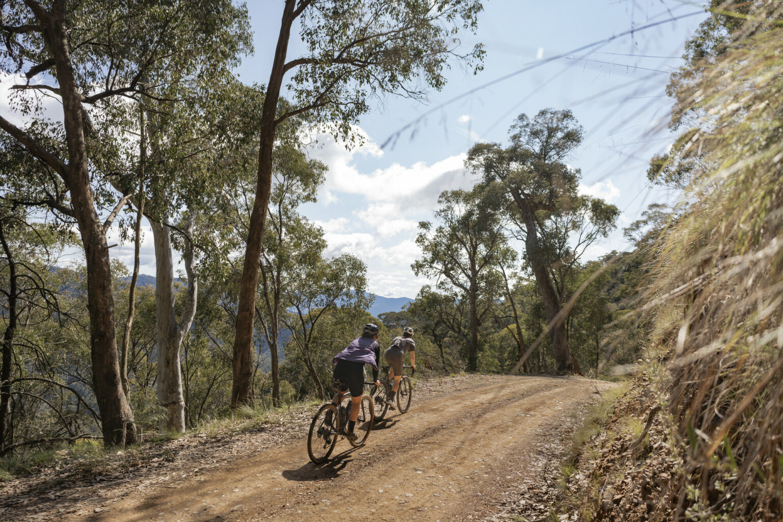 Horse Riding in Mount Beauty and the Alpine National Park, Victoria