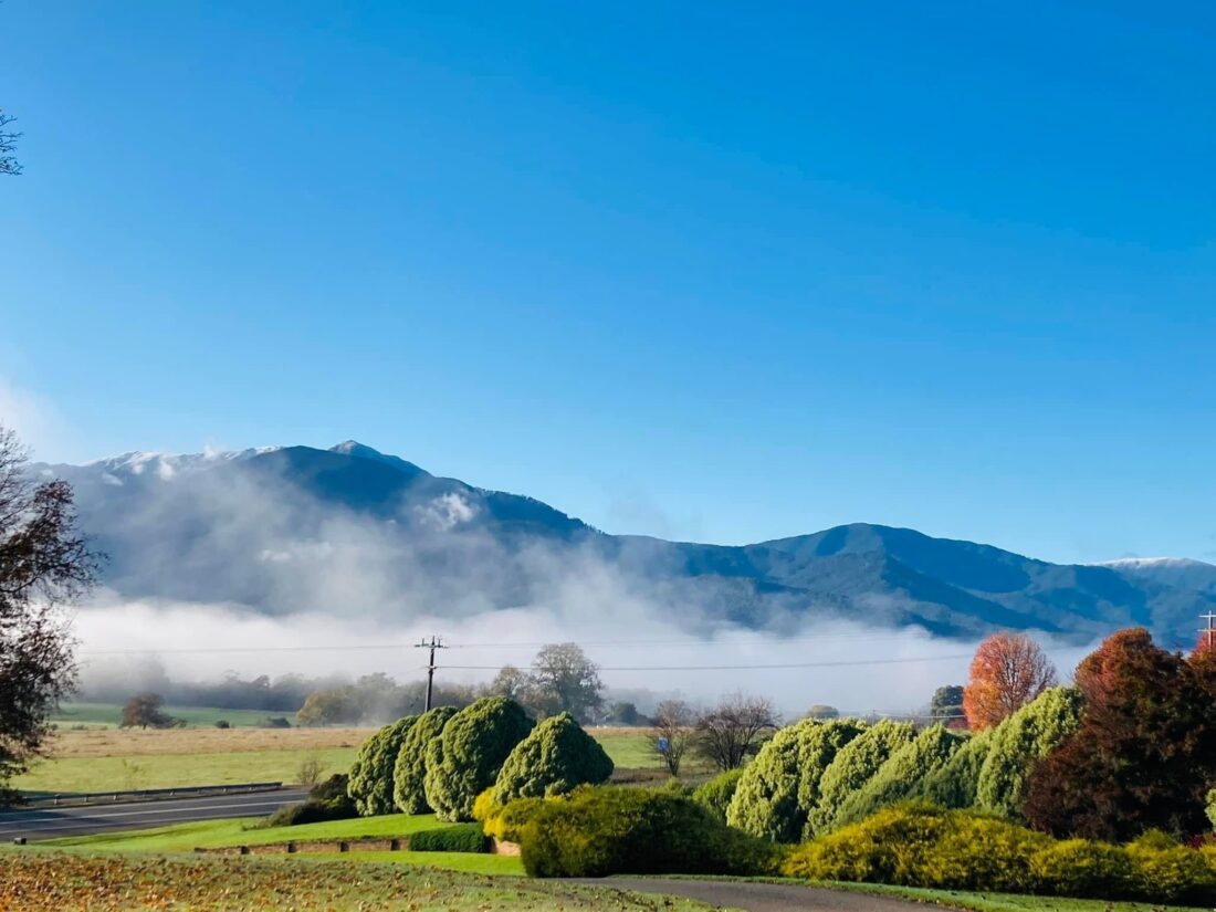 Visitor Information Centre in Mount Beauty, Victoria