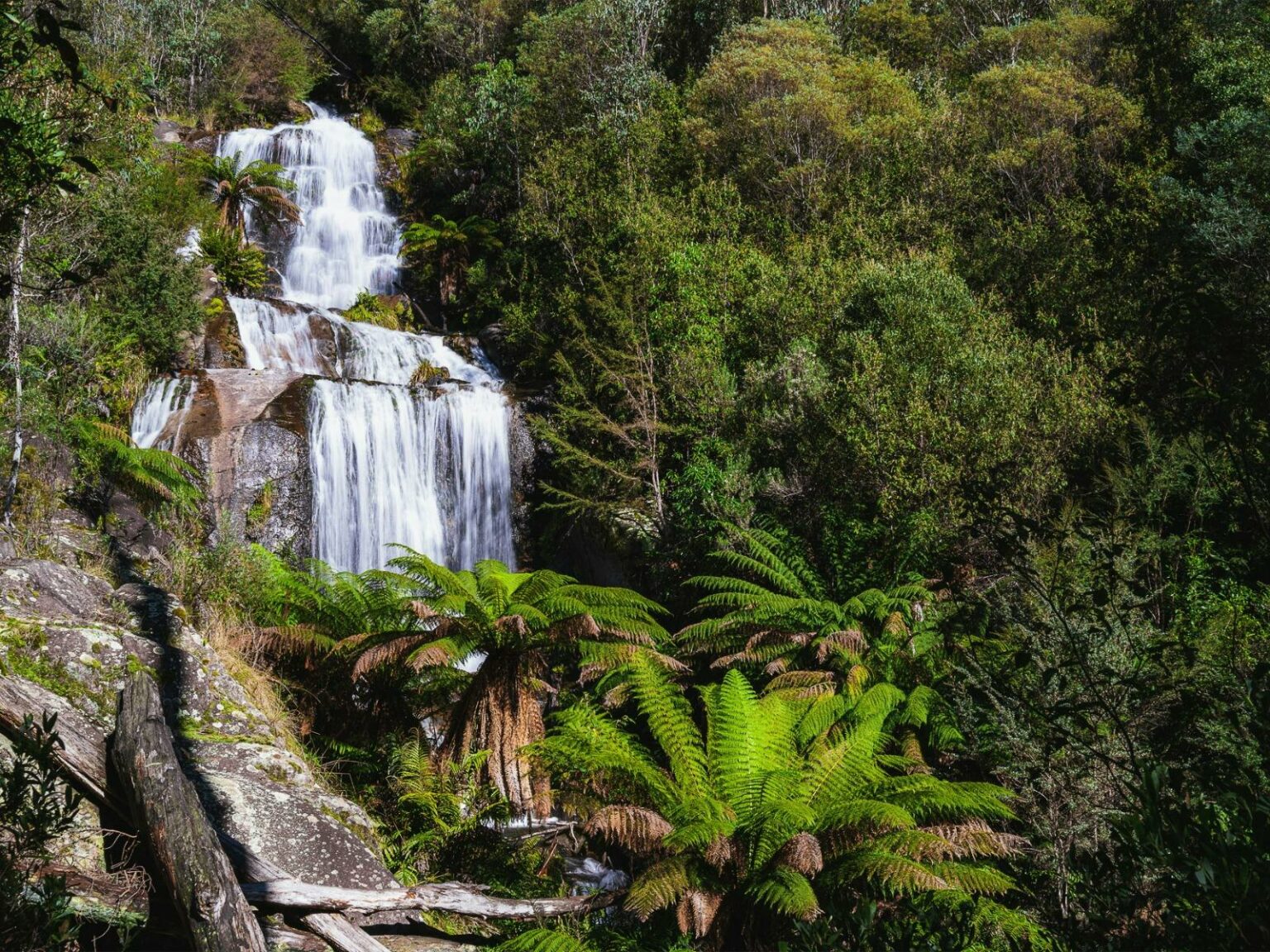 Top 10 things to do in Mount Beauty, High Country Victoria
