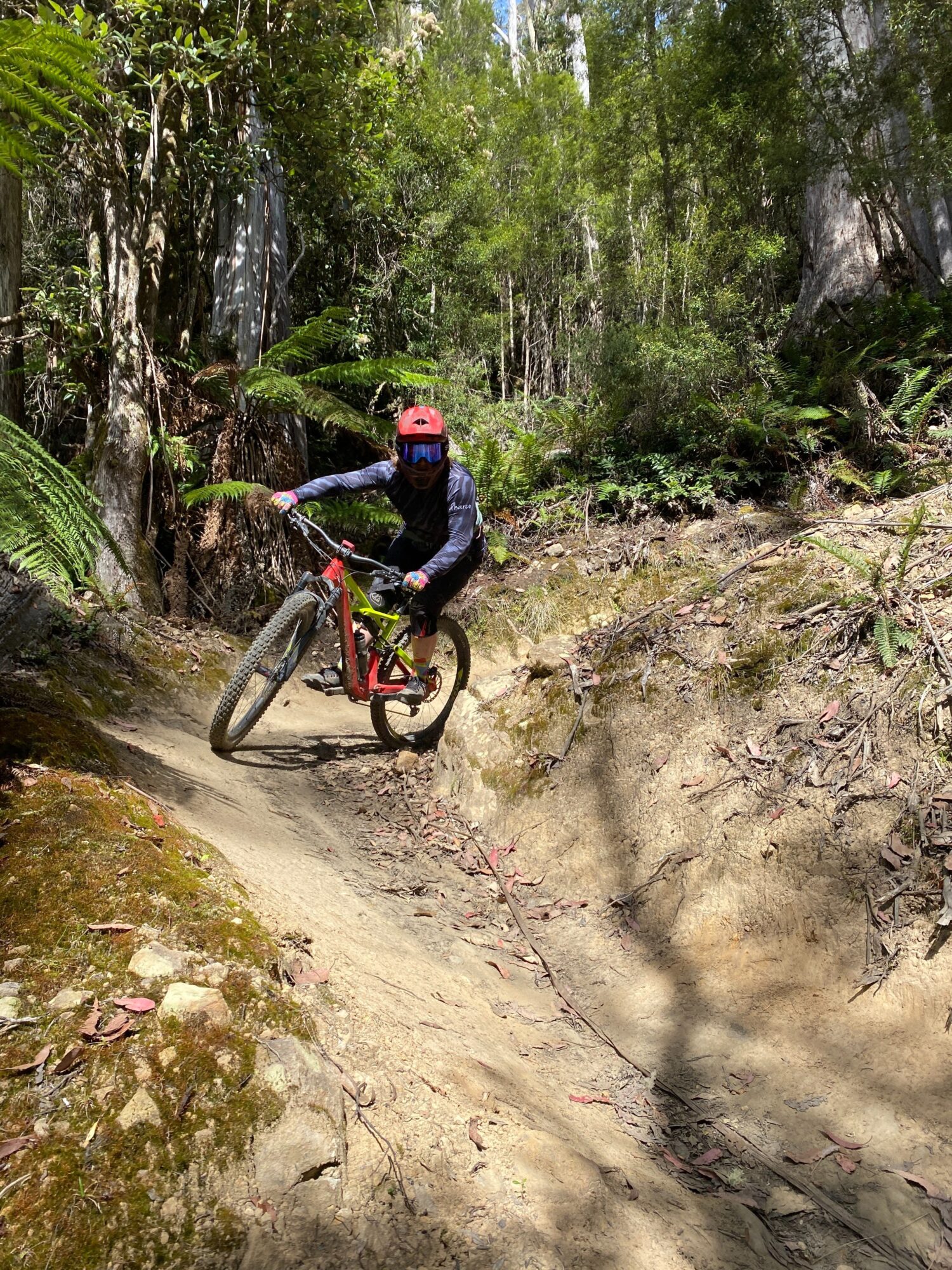 Top 10 things to do in Mount Beauty, High Country Victoria