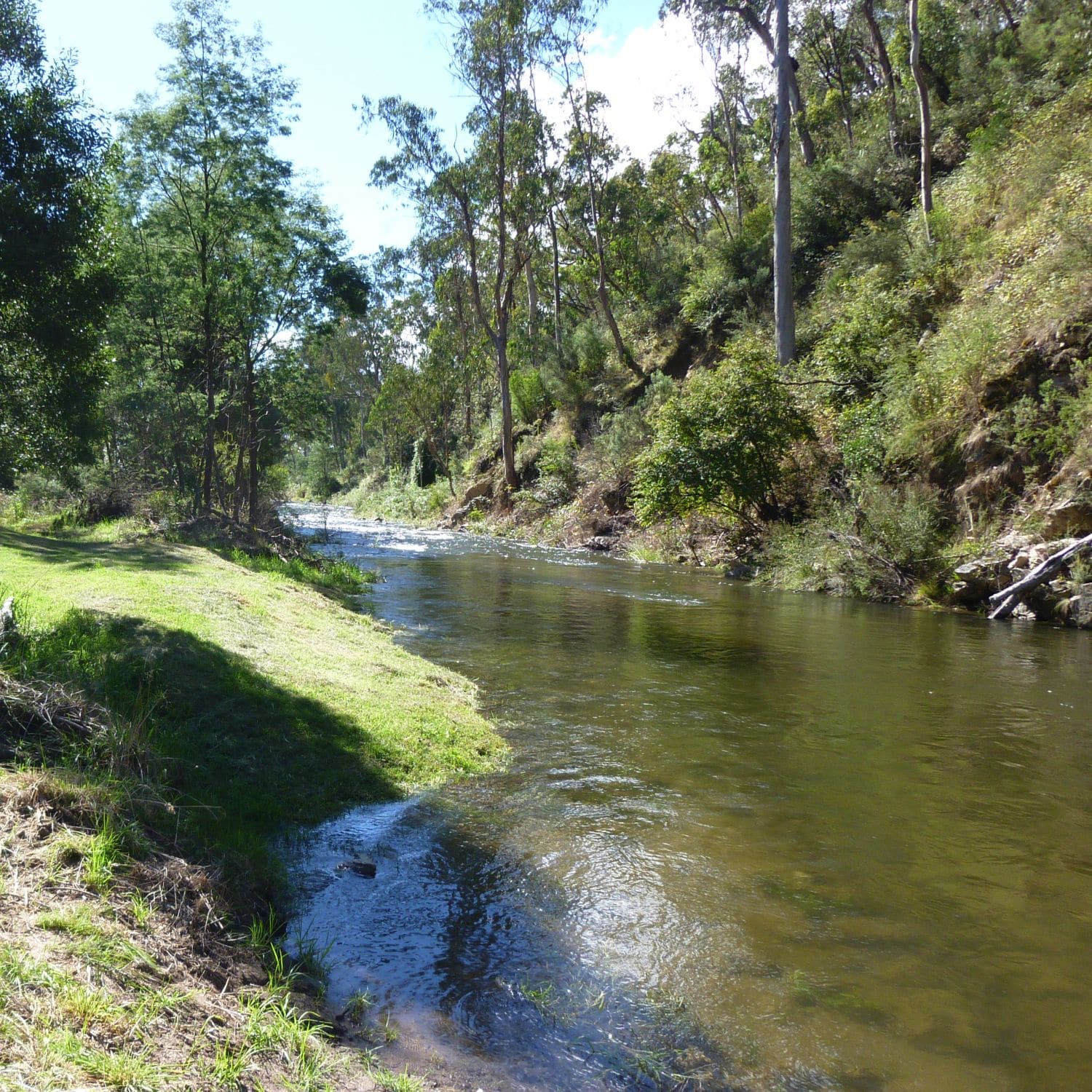Swimming spots in rivers and lakes in Mount Beauty, Victoria
