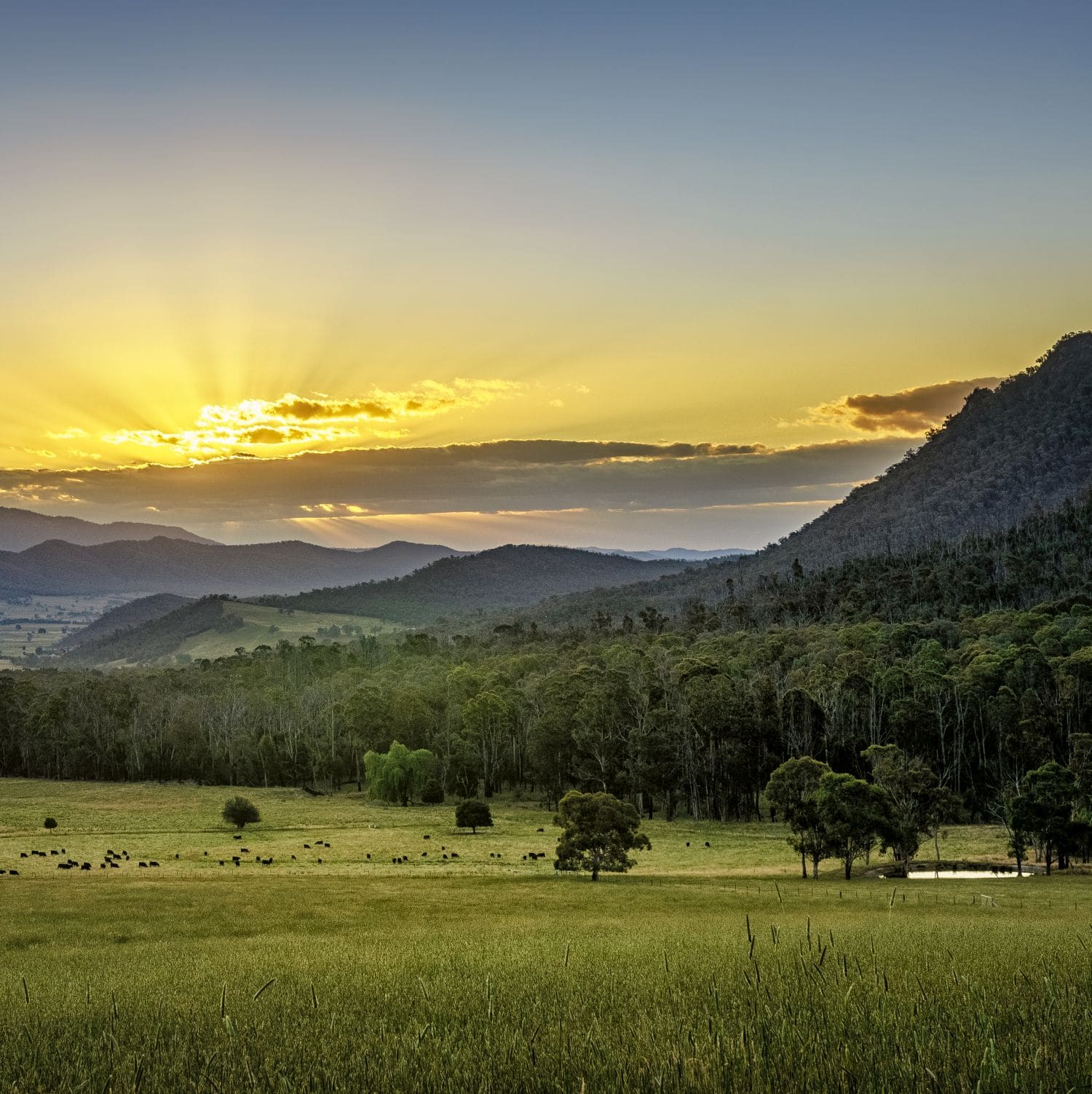 Scenic drives in Mount Beauty, High Country Victoria