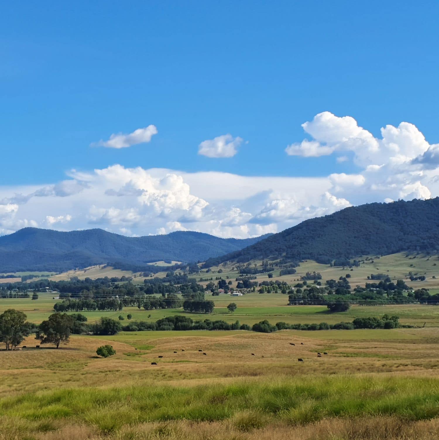 Visit Dederang in the Kiewa Valley, Victoria's High Country